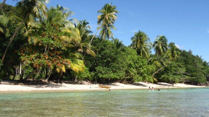 Wisata Papua: Cantiknya Pantai Harlem, Surga Kecil di Bumi Cenderawasih ...