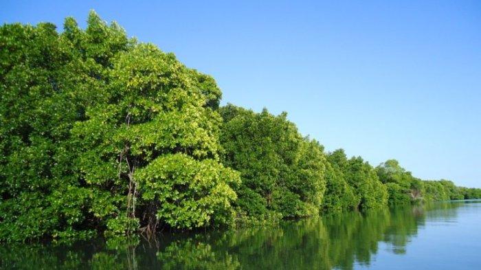 10 Pantai Indah yang Patut Dikunjungi saat Berwisata ke Kabupaten ...