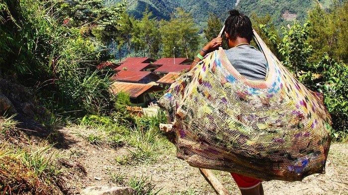 Makna Noken Bagi Mama Papua: Wadah Hasil Kebun Hingga Menggendong Bayi ...