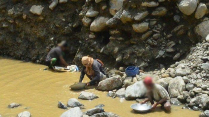 7,20 Gram Emas Jadi Barang Bukti Kasus 33 Terdakwa Tambang Ilegal di Manokwari ...