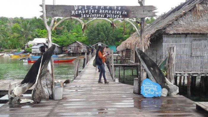 Wisata Papua Barat Daya: Menikmati Atraksi Burung Cenderawasih Menari ...