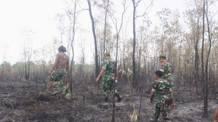 Balai Pengendalian Perubahan Iklim Papua-Maluku Temukan Banyak Titik ...