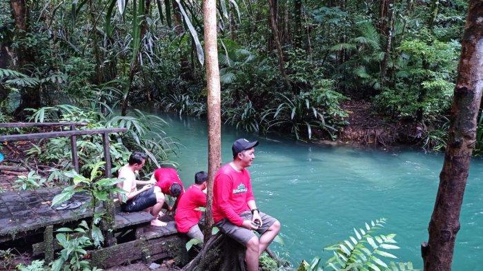 Kali Biru di Raja Ampat Papua Barat Penuh Pesona: Air Terjun, Reptil hingga Cenderawasih Semua ...
