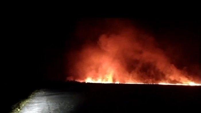 BREAKING NEWS - Kebakaran Hebat Landa Padang Rumput ''Bukit Teletubbies ...