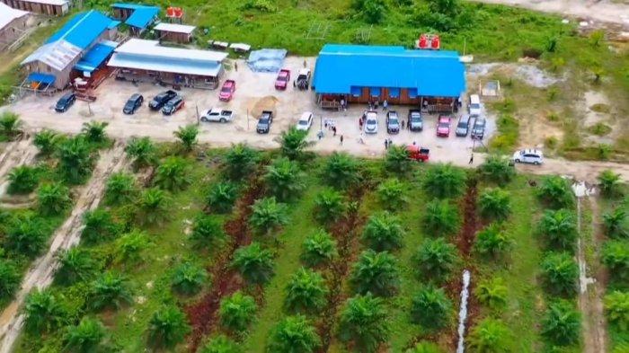 Pemkab Fakfak Segera Resmikan Pabrik Kelapa Sawit di Bomberai dan ...