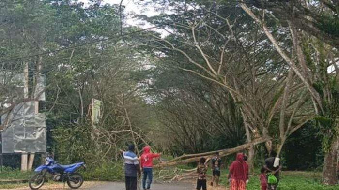 Frans Awak Pemalangan Kantor Bupati Teluk Bintuni Tak Ganggu Aktivitas ...