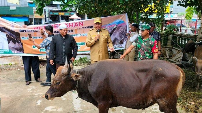 Paulus Waterpauw Serahkan Bantuan Sapi Kurban di Masjid Al Akbar Kota ... Paulus Waterpauw Serahkan Bantuan Sapi Kurban di Masjid Al Akbar Kota ...