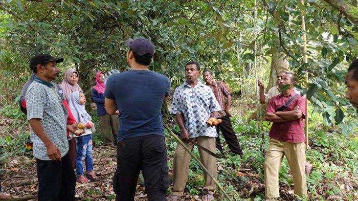 50 Petani di Kampung Unipokpok Fakfak Tengah Ikuti Bimbingan Budidaya ...