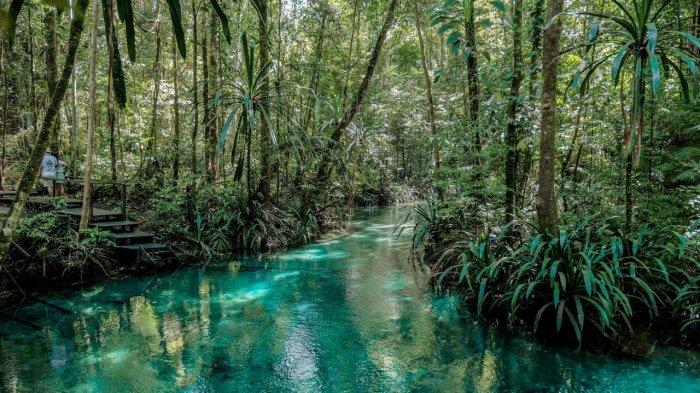 Pesona Kali Biru di Raja Ampat, Bak 'Surga' di Pedalaman Hutan Papua ...