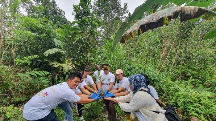 Kejari Fakfak Papua Barat Gelar Penanaman Pohon, Edukasi Pentingnya Konservasi Alam ...
