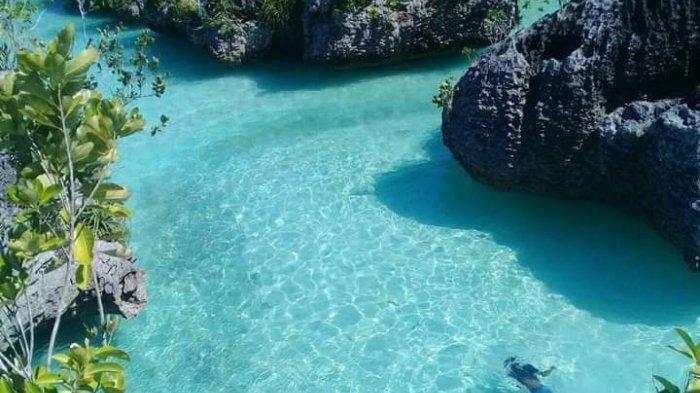 Ada Spot Bermain Lumba-lumba, Ini Indahnya Pesona Teluk Toran Wisata Papua Barat di Kabupaten ...