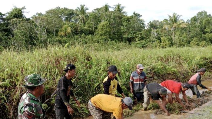 Warga Distrik Tomage dan Babinsa Kodim 1803/Fakfak Bersihkan Saluran ...