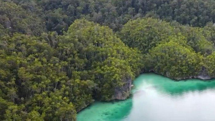 Wisata Papua Barat Teluk Trinton Bisa Jadi Pilihan Selain Raja Ampat ...