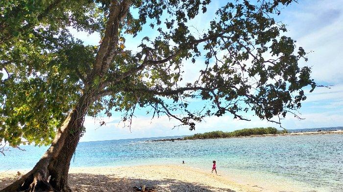 Cari Wisata Papua Barat di Manokwari, Ini Daftar Lokasi yang Bisa ...