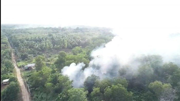 Kemarau Tahun Ini Lebih Mengancam di Riau, Titik Panas Karhutla Muncul ...