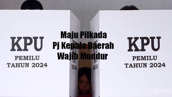 40 Hari Sebelum Pendaftaran Harus Mundur Jika Pj Kepala Daerah Maju Pilkada - Tribunpekanbaru.com