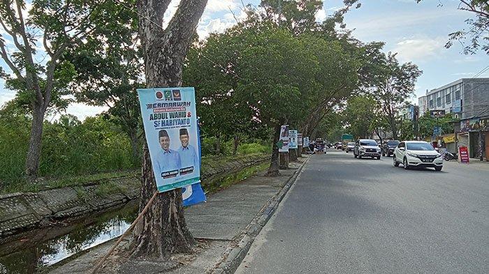 APS Paslon Gubernur Riau dan Wali Kota Pekanbaru Terpasang di Pohon ...