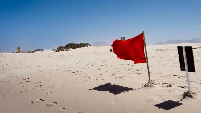 Arti Red Flag dalam Bahasa Gaul Apa? Kembali Viral dan Berikut Ini ...