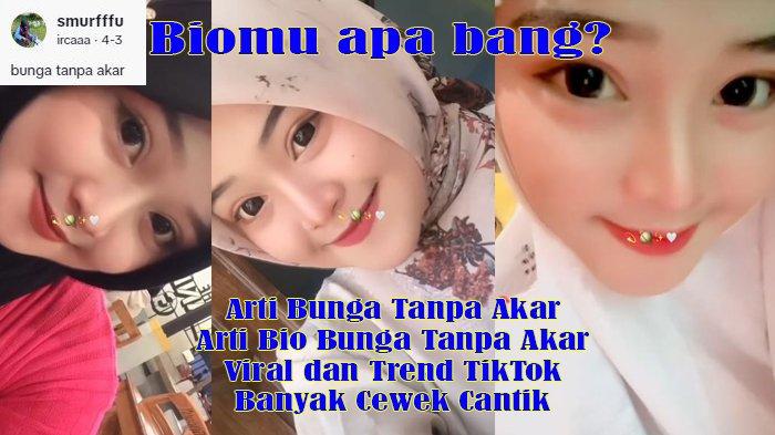 Arti Bunga Tanpa Akar dan Arti Bio Bunga Tanpa Akar yang Viral dan Trend TikTok, Banyak Cewek ...
