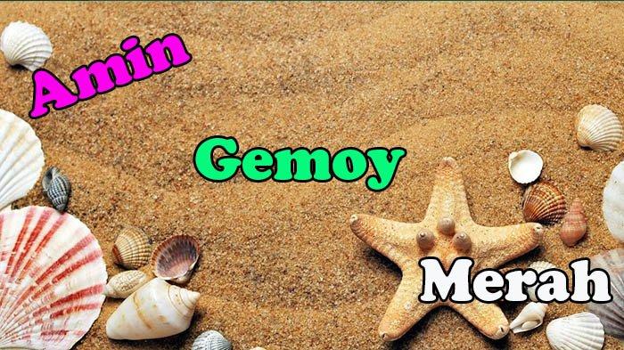 Arti Gemoy Bahasa Gaul Apa Itu Gemoy yang Tengah Populer di Sosmed - Tribunpekanbaru.com