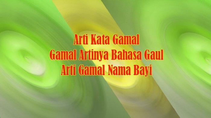 Arti Kata Gamal yang Viral di TikTok dan Gamal Artinya Bahasa Gaul ...