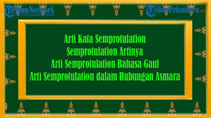 Arti Kata Semprotulation dan Artinya serta Arti Semprotulation Bahasa ...