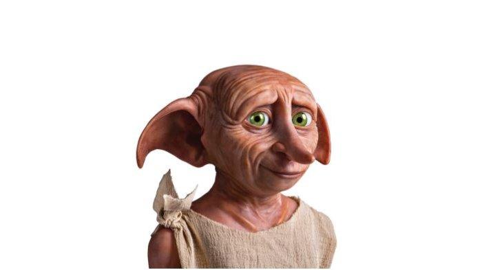 Arti Dobby Syndrome Dalam Bahasa Gaul di TikTok dan Dampaknya ...