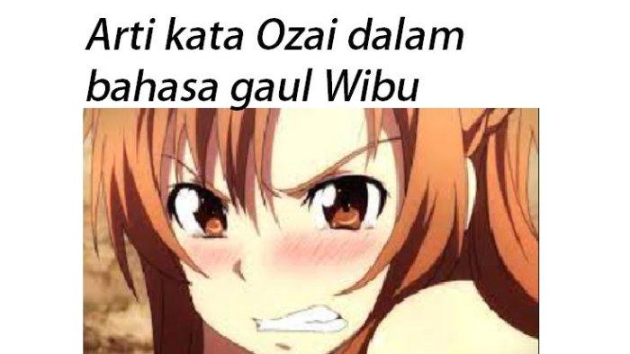 Arti Kata Ozai dan Makna Kata Gaul Ozai Dalam Bahasa Komunitas Wibu ...