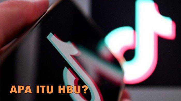 Apa Itu HBU dalam Bahasa Gaul? Istilah Viral di Tiktok - Tribunpekanbaru.com