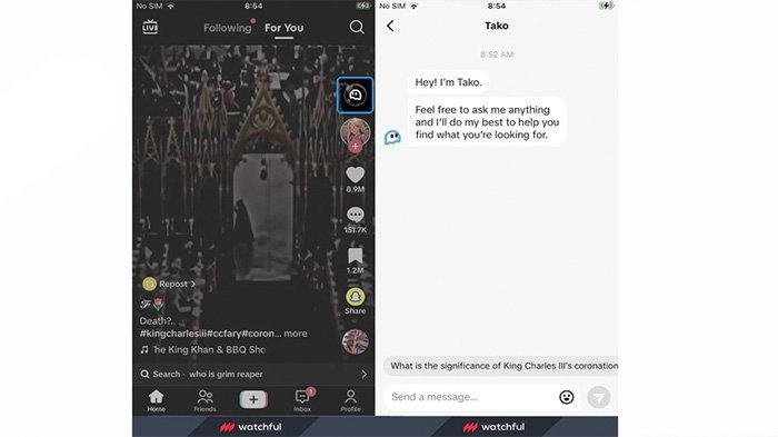 Viral Tiktok Fitur Baru, Ini Penjelasan Tiktok Tako - Tribunpekanbaru.com