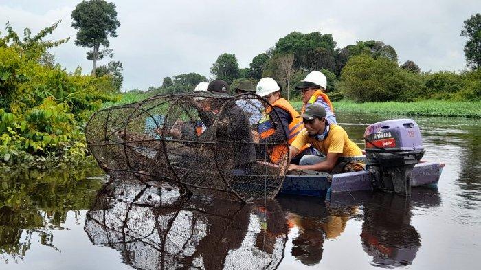 Cegah Karhutla dengan Budidaya Perikanan Darat Melalui Program DMPA PT ...