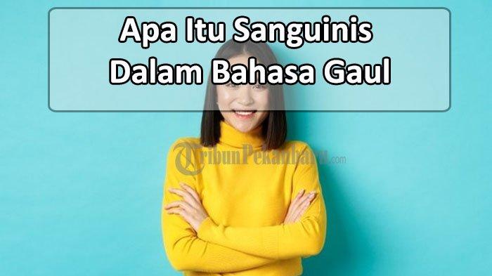 Sanguinis Viral, Apa Itu Sanguinis Dalam Bahasa Gaul Populer Saat Ini? - Tribunpekanbaru.com