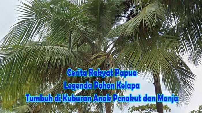 Cerita Rakyat Papua Legenda Pohon Kelapa yang Tumbuh di Kuburan Anak ...