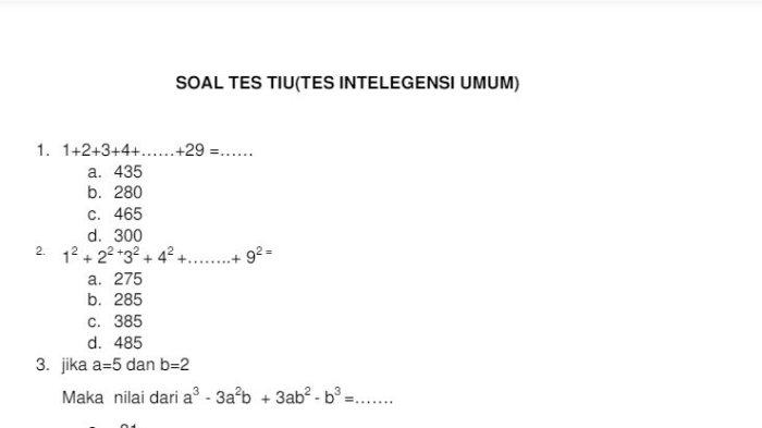 LINK Download PDF Contoh Soal TIU IPDN Terbaru 2024 - Tribunpekanbaru.com