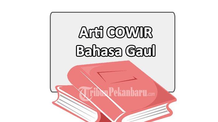 Cowir Viral, Apa Itu Cowir Artinya Dalam Bahasa Gaul di TikTok? Cowir Adalah Singkatan Ini ...