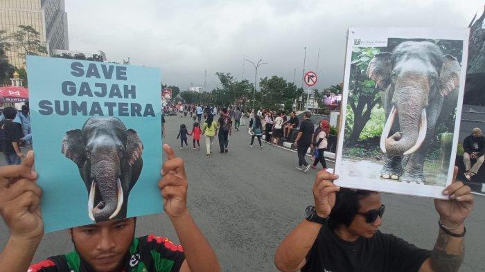 FOTO: Aksi 'Justice for Gajah Rahman' di Kawasan CFD Pekanbaru, Gajah ...
