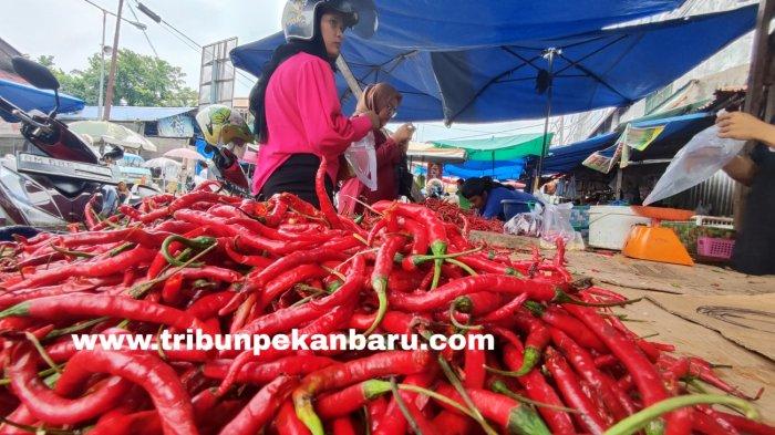 FOTO: Harga Cabai Merah di Pekanbaru Terus Naik - Tribunpekanbaru.com