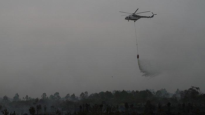 Karhutla di Kuala Cenaku Inhu Meluas, Enam Heli Water Bombing Dikerahkan ke Lokasi ...