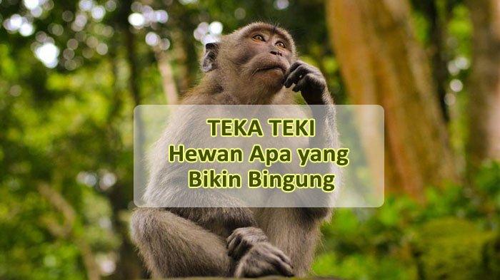 Hewan Hewan Apa yang Bikin Bingung di Teka Teki TTS atau Tebak Tebakan ...