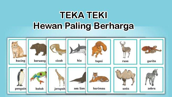 Hewan yang Paling Berharga Apa? Ini Jawaban Teka-teki atau Tebak ...