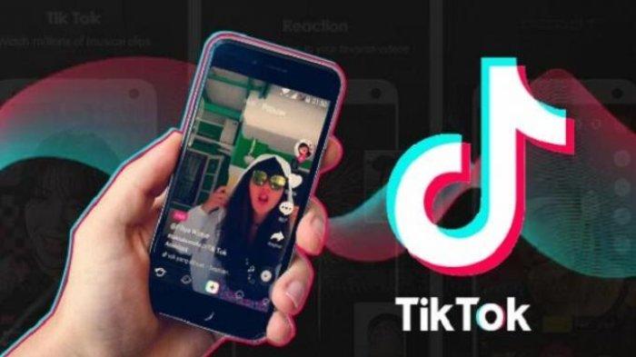 Arti FYP TikTok, Ternyata Begini Cara Kerja FYP TikTok - Halaman all - Tribunpekanbaru.com