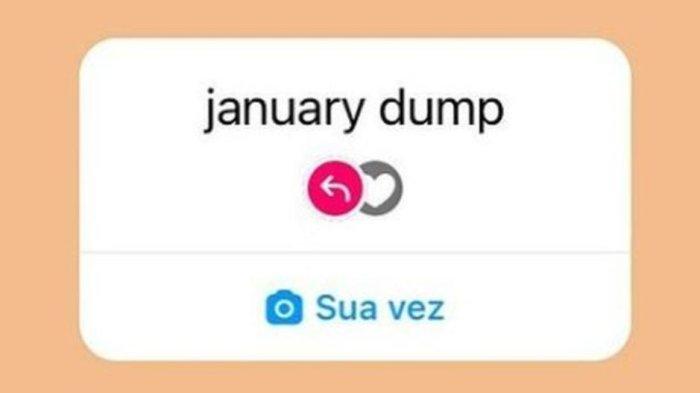 January Dump Artinya dalam Bahasa Gaul Adalah Apa? Inilah Penjelasannya ...
