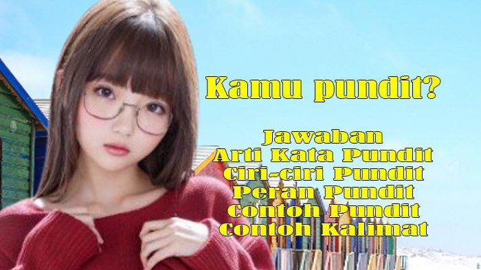 Jawaban Arti Kata Pundit dan Ciri-ciri Pundit serta Peran Pundit dan ...