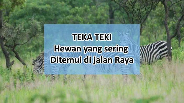 Jawaban Hewan yang Sering Kita Temui di Jalan Raya TTS Teka Teki atau ...