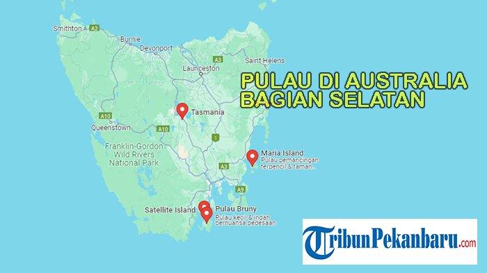 Jawaban Pulau di Australia Bagian Selatan Sesuai dengan Kotak TTS Apa ...