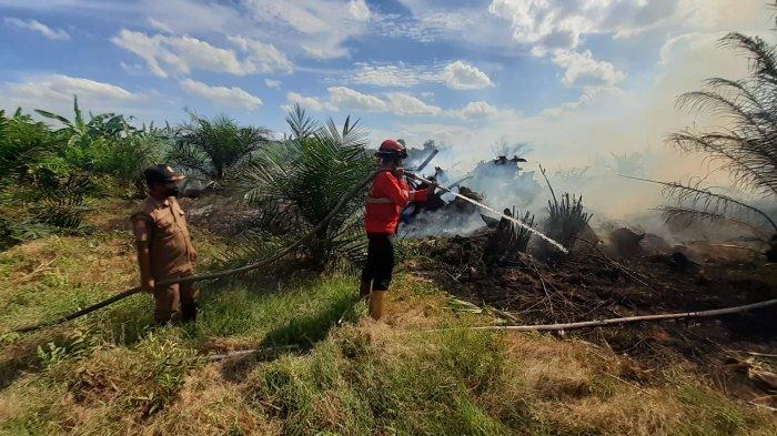 Lahan Sawit Terbakar di Kampung Desa Mulia Dayun, Petugas Gabungan ...