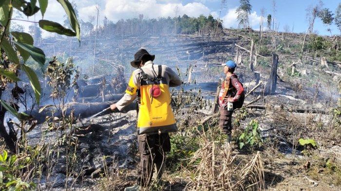Kesulitan Sumber Air di Lokasi Karhutla Rohul Riau, Petugas Pakai Kantong Air Gendong ...