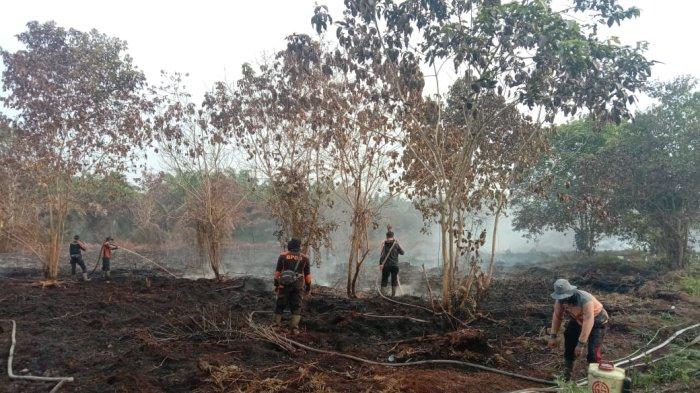 Karhutla Terus Terjadi di Inhil, Hari Ini Pemadaman Dilakukan di Dua ...