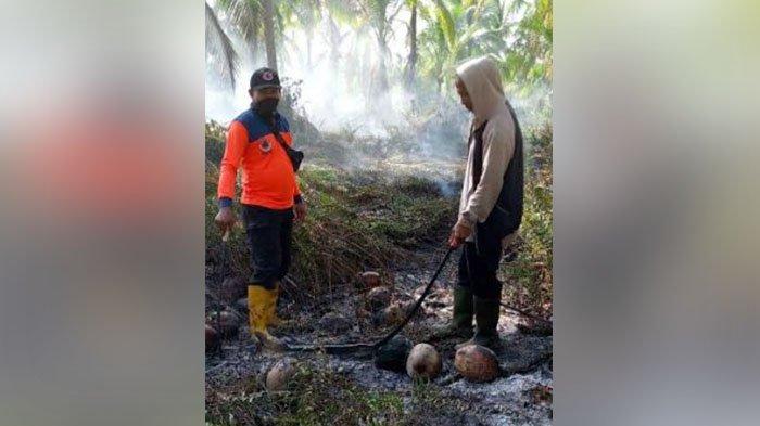 Karhutla di Desa Pulau Muda Belum Padam, BPBD Pelalawan Sebut Beberapa ...