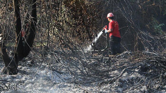 Titik Api Kembali Muncul di Inhu Riau, 2,1 Hektare Lahan di Desa Talang ... Titik Api Kembali Muncul di Inhu Riau, 2,1 Hektare Lahan di Desa Talang ...